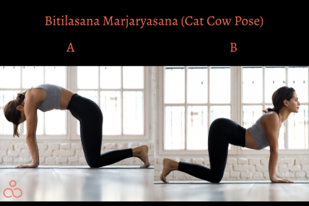 18 Asanas - Yoga For Core Strength
