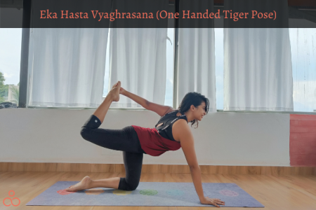 The Complete Guide To The Tiger Yoga Pose (Vyaghrasana)