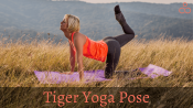 The Complete Guide To The Tiger Yoga Pose (Vyaghrasana)